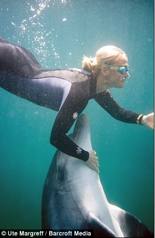 The relationship between a woman and her wild dolphin friend - Dolphin Way