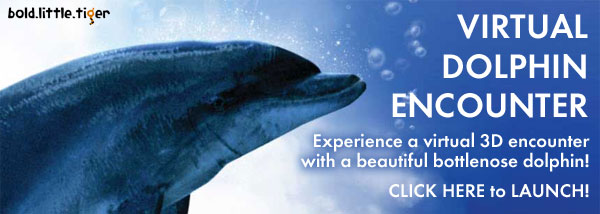 Virtual Dolphin - Dolphin Way