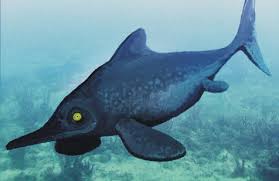 Dolphins are six million years older than we thought - Dolphin Way